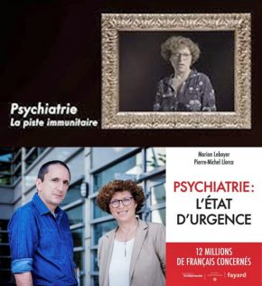 Interviews de Marion Leboyer, directrice de l’équipe 15 de l’IMRB dans ...